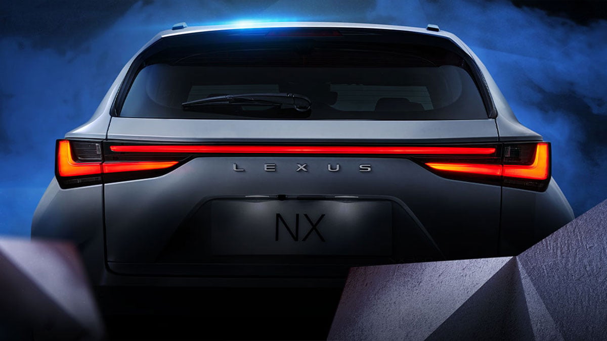 N X Light Fits Lexus NX 250 350 22 24 Tail Light Precut Smoked PPF